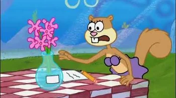 Flowers for Sandy | Encyclopedia SpongeBobia | Fandom