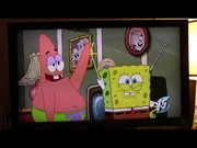 Pet the Rock | Encyclopedia SpongeBobia | Fandom