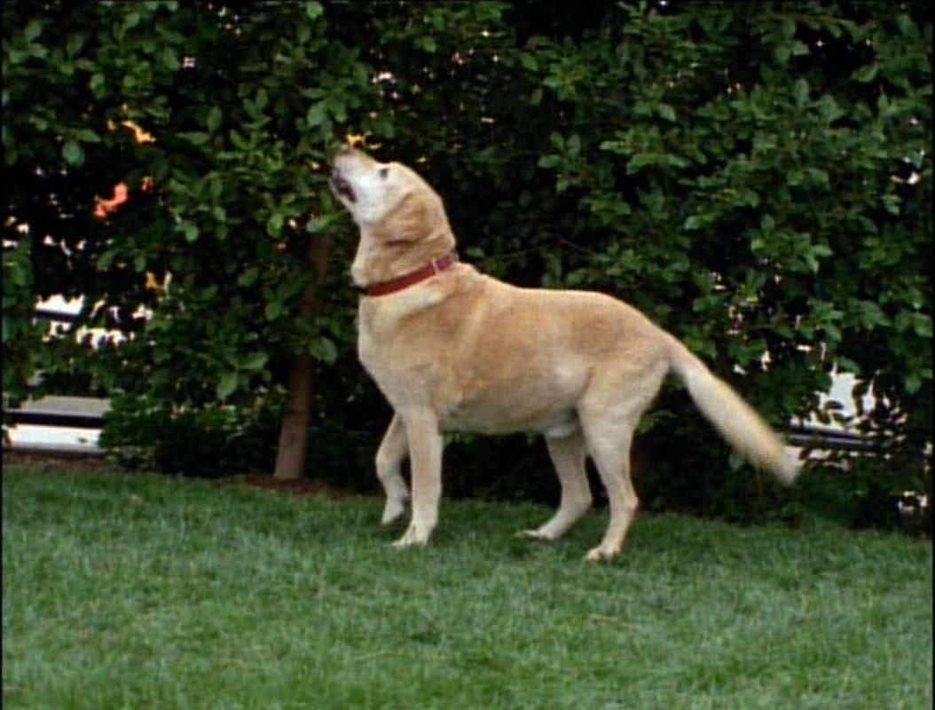 Plankton's lab | Encyclopedia SpongeBobia | Fandom