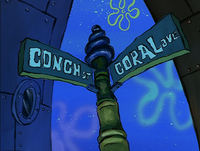 Conch Street | Encyclopedia SpongeBobia | Fandom