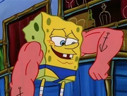 Anchor Arms/gallery | Encyclopedia SpongeBobia | Fandom
