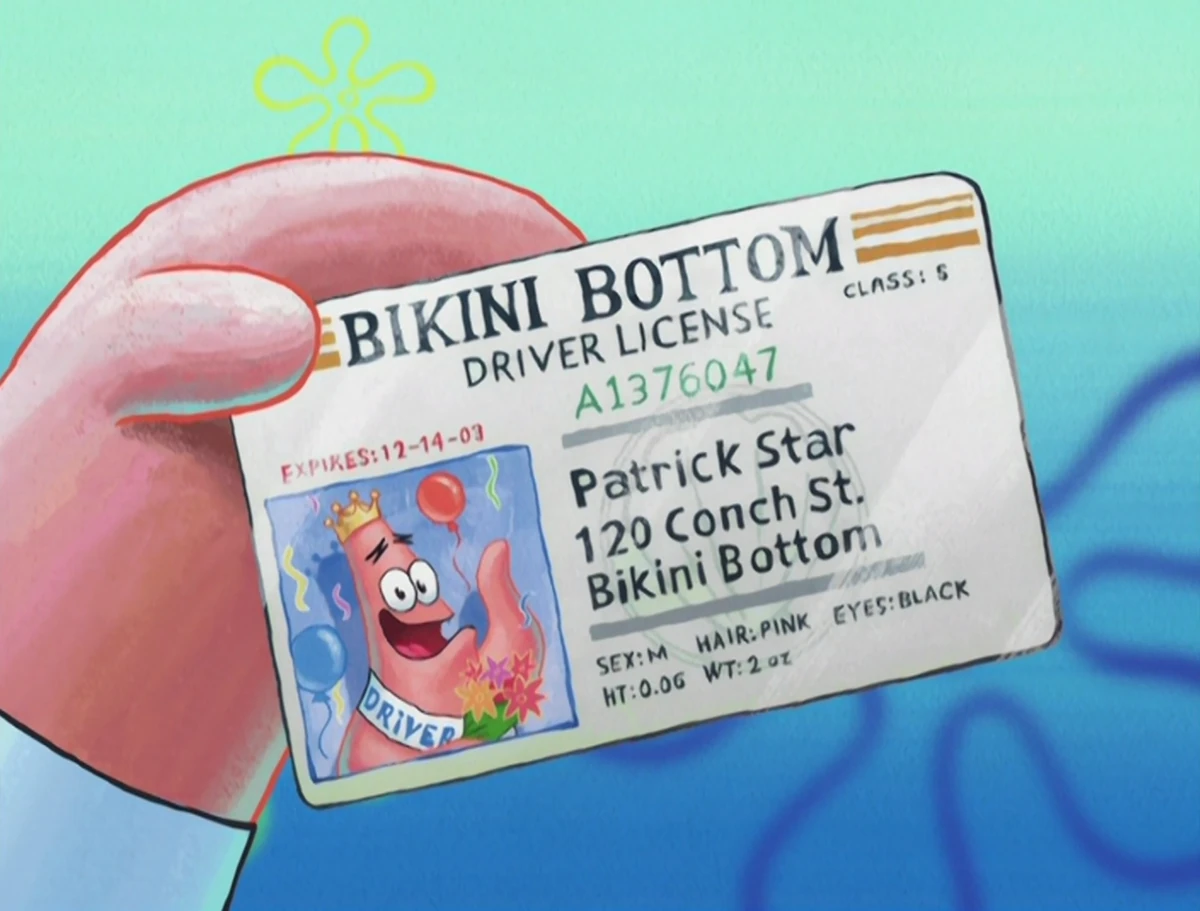 Patrick's driver's license | Encyclopedia SpongeBobia | Fandom