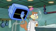 Sandy-Plankton relationship | Encyclopedia SpongeBobia | Fandom