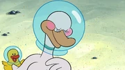 Duck family/gallery | Encyclopedia SpongeBobia | Fandom