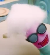 SpongeBob IRL | Encyclopedia SpongeBobia | Fandom