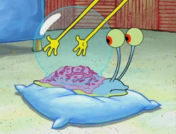 Spongebob Shell Geschokt