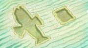 A Fish Called Sandy | Encyclopedia SpongeBobia | Fandom