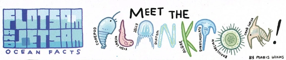 Flotsam and Jetsam Ocean Facts: Meet the Plankton! | Encyclopedia ...