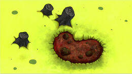 SpongeBob SquarePants (character) | Encyclopedia SpongeBobia | Fandom