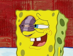 Blackened Sponge