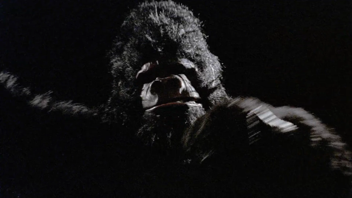 Gorilla | Encyclopedia SpongeBobia | Fandom
