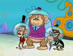 Spongebob Chimps Ahoy