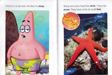 Patrick Star Rosto Confuso