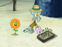 Squid Wood | Encyclopedia SpongeBobia | Fandom