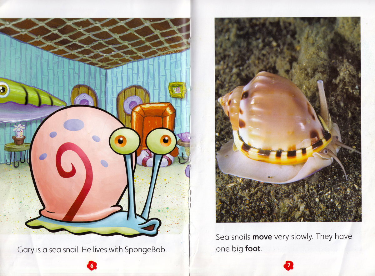 Spongebob As A Snail