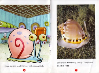 Sea snail | Encyclopedia SpongeBobia | Fandom