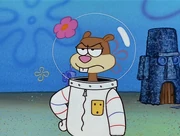 Patrick-Sandy relationship | Encyclopedia SpongeBobia | Fandom