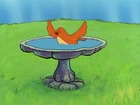 Birds | Encyclopedia SpongeBobia | Fandom