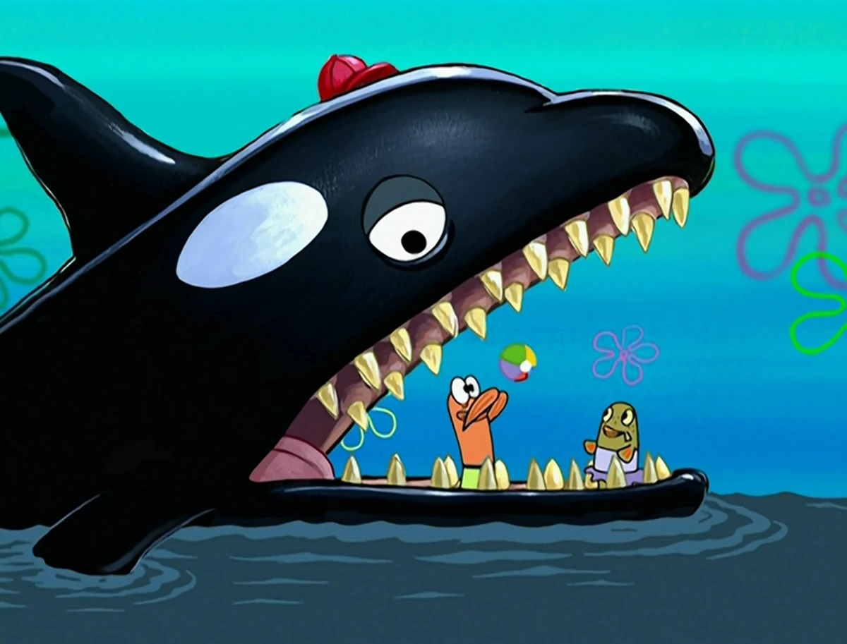 Orca kid/gallery | Encyclopedia SpongeBobia | Fandom