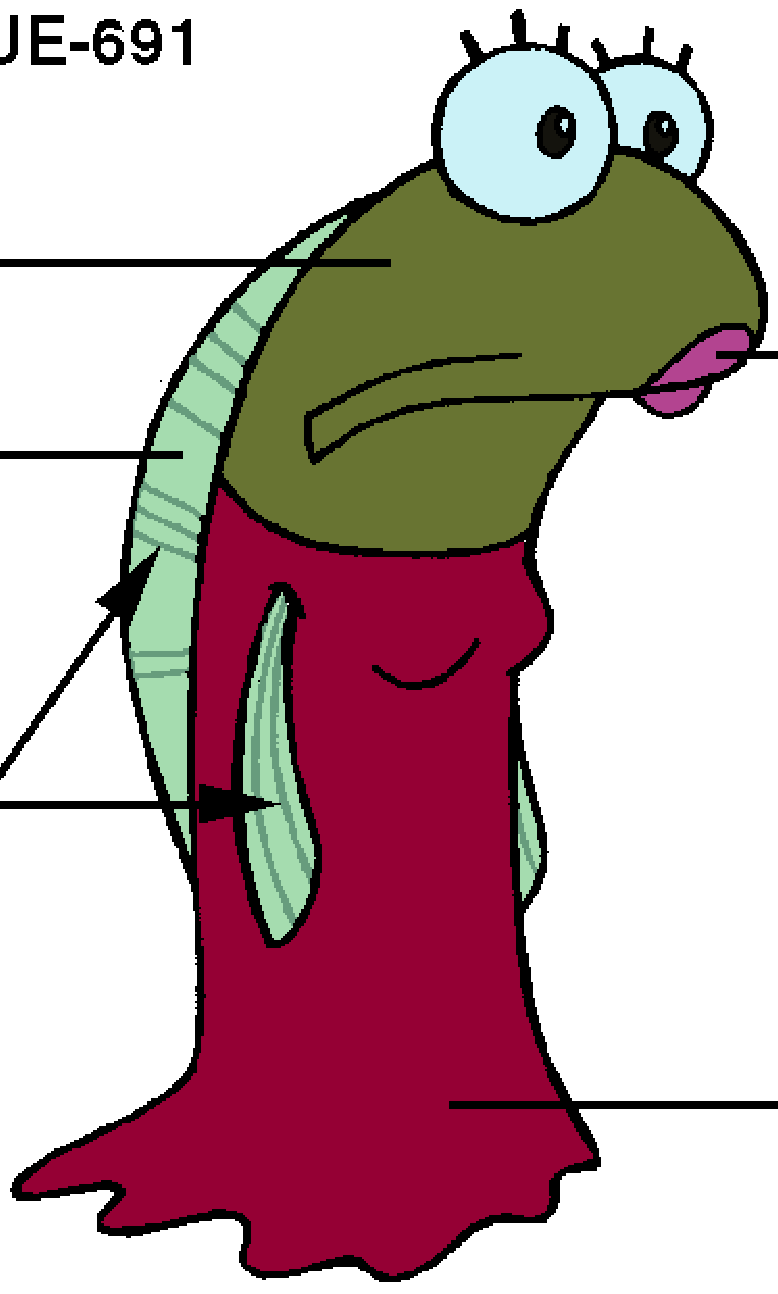 Incidental F12 | Encyclopedia SpongeBobia | Fandom