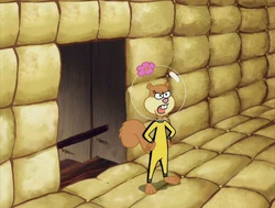 Sandy Cheeks Karate Island