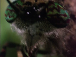 Wormy (character) | Encyclopedia SpongeBobia | Fandom