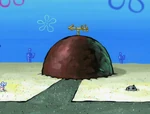 Patrick Star's house/gallery | Encyclopedia SpongeBobia | Fandom