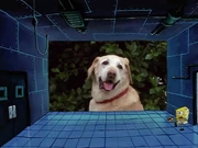 Plankton's lab | Encyclopedia SpongeBobia | Fandom