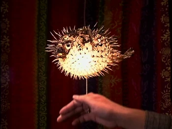 Mr. Puff | Encyclopedia SpongeBobia | Fandom