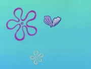 Mr. Krabs' pet scallop | Encyclopedia SpongeBobia | Fandom