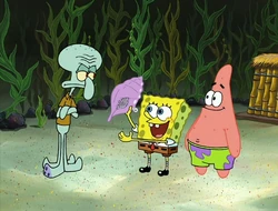 Magic Conch App