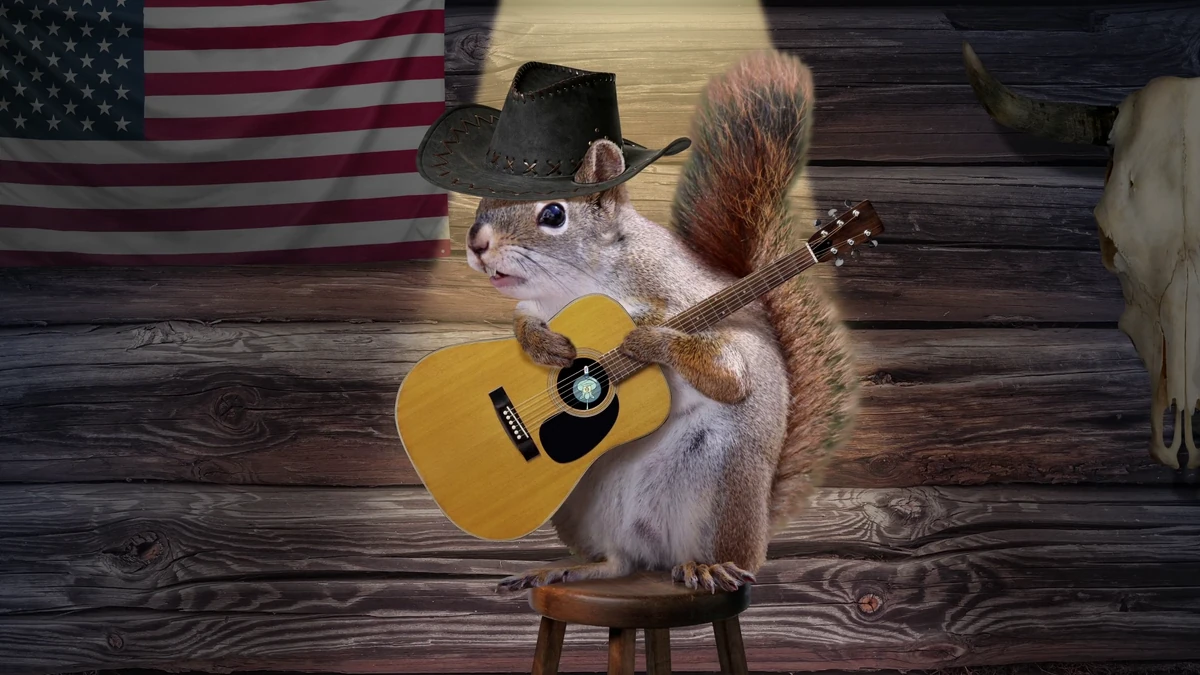 Country squirrel | Encyclopedia SpongeBobia | Fandom