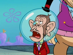 Spongebob Chimps Ahoy