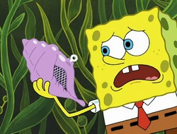 Spongebob Conch Shell