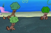 Saltwater trees | Encyclopedia SpongeBobia | Fandom