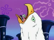 Eagle head/gallery | Encyclopedia SpongeBobia | Fandom