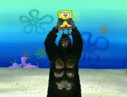 Gorilla/gallery | Encyclopedia SpongeBobia | Fandom