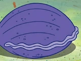 Category:Clams | Encyclopedia SpongeBobia | Fandom