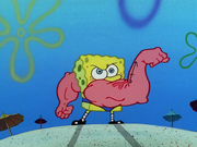 Anchor Arms/gallery | Encyclopedia SpongeBobia | Fandom