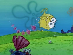 Spongebob Nature Pants Episode