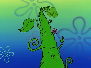 Pineapple plant | Encyclopedia SpongeBobia | Fandom