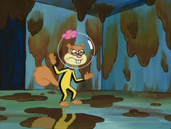 Sandy Cheeks Karate Island