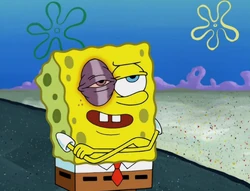 Blackened Sponge