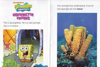 Nickelodeon Land Krusty Krab Order Up