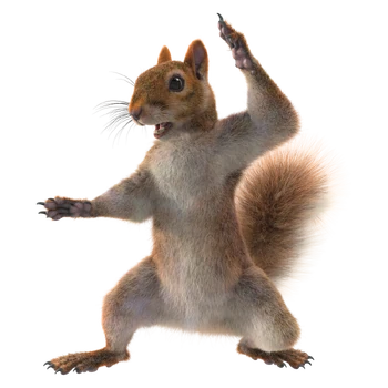 Sandy Cheeks | Encyclopedia SpongeBobia | Fandom