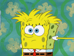 SpongeBob's driver's license | Encyclopedia SpongeBobia | Fandom