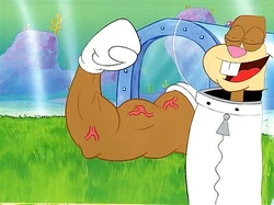 Musclebob Buffpants Sapbar