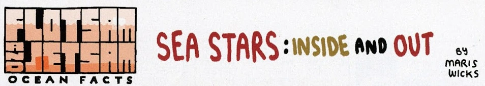 Flotsam and Jetsam Ocean Facts: Sea Stars: Inside and Out ...