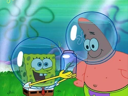 Spongebob Wormy Livedash
