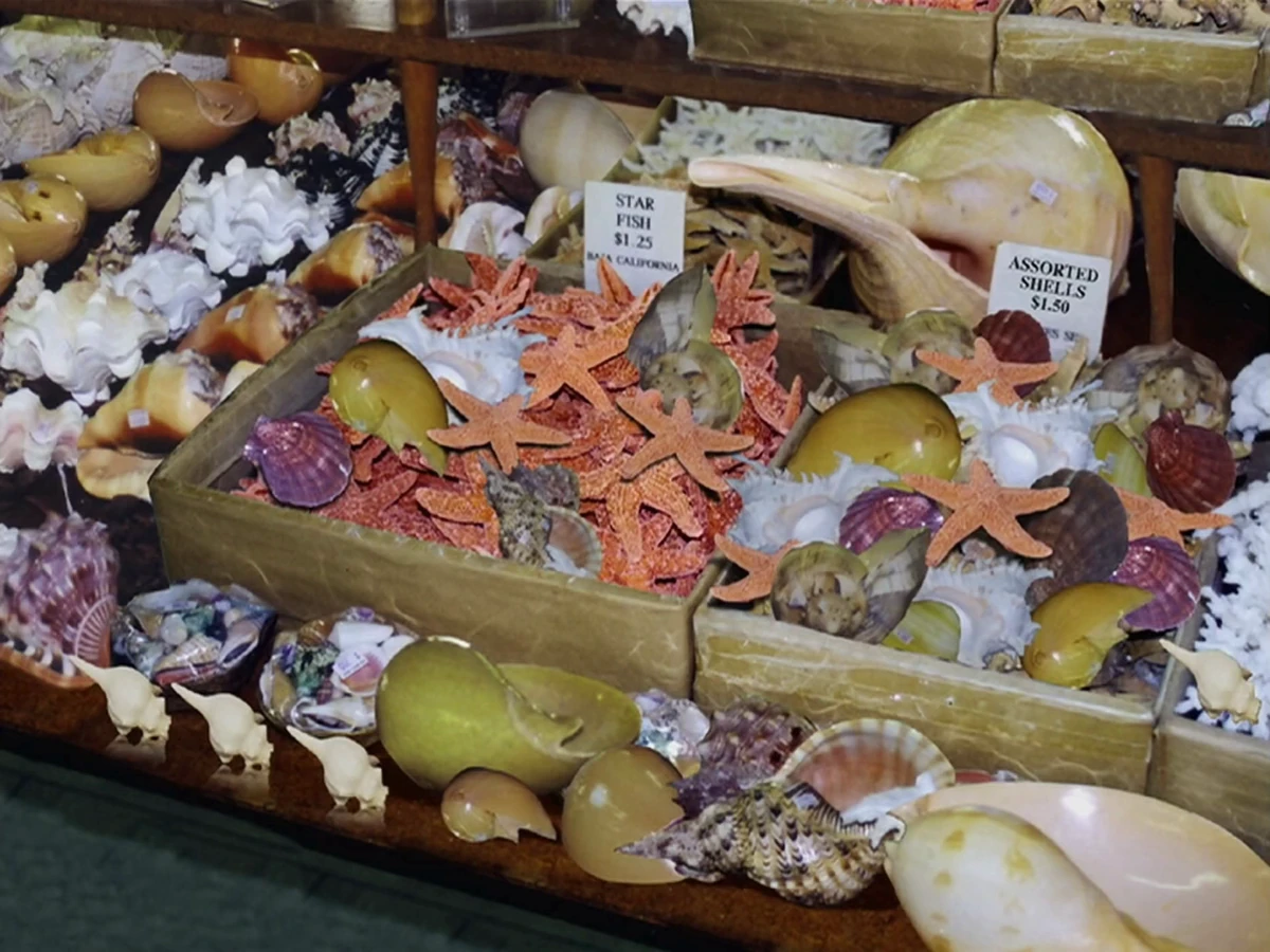 Gift Shop | Encyclopedia SpongeBobia | Fandom